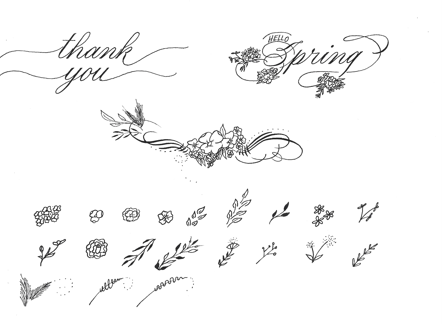 Valley Calligraphy Guild Schedule of Events